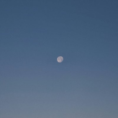 o . o lit.link(リットリンク)