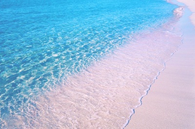 Tag lit.link(リットリンク)